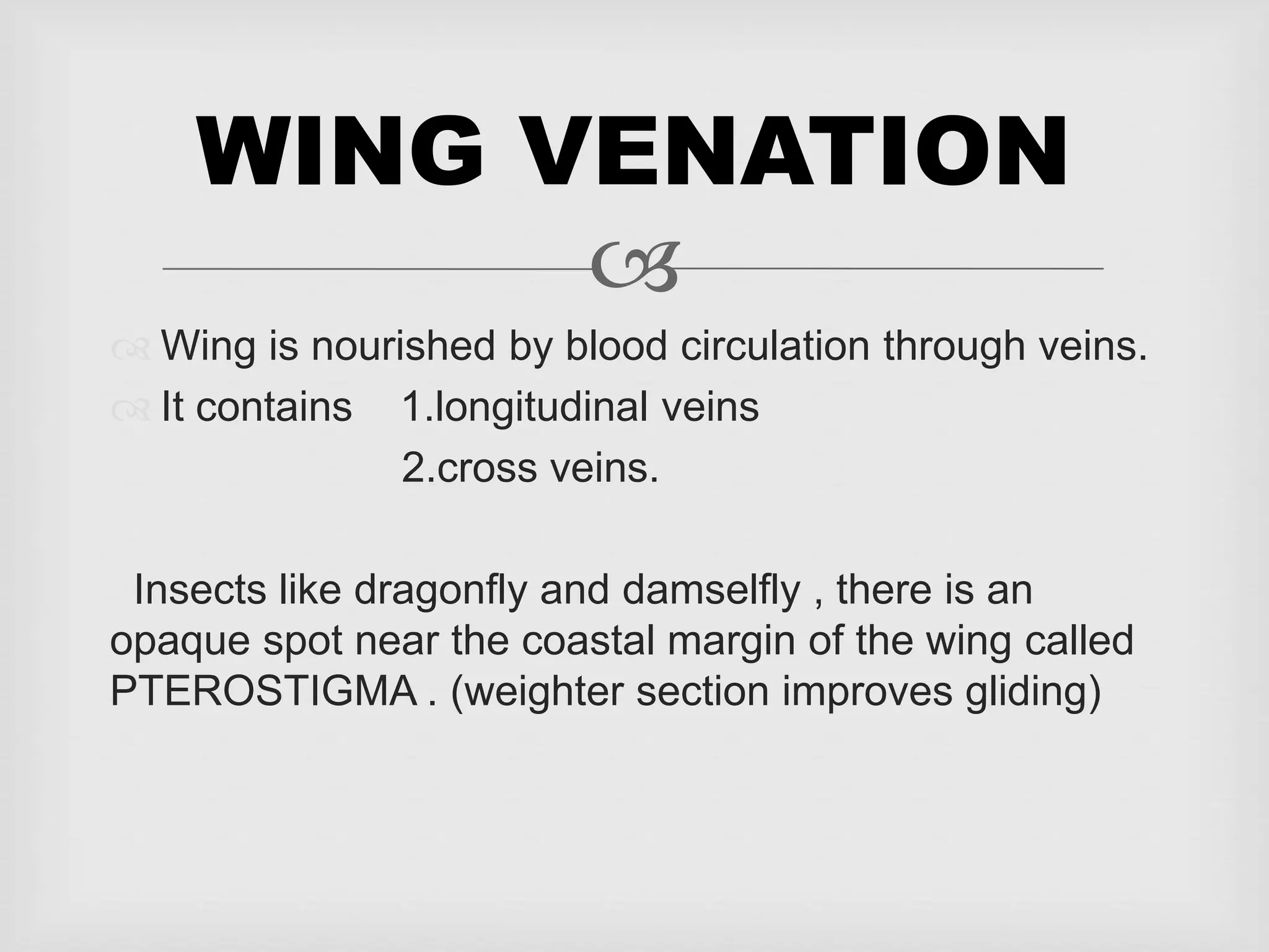 Entomology- insect wing | PPTX