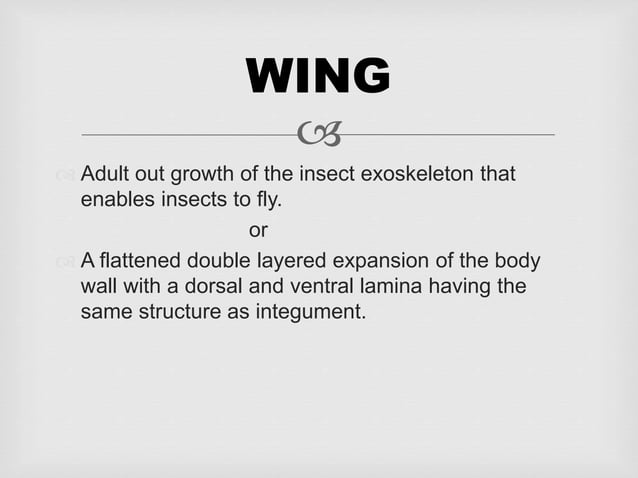 Entomology- insect wing | PPTX