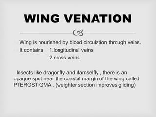 Entomology- insect wing | PPTX