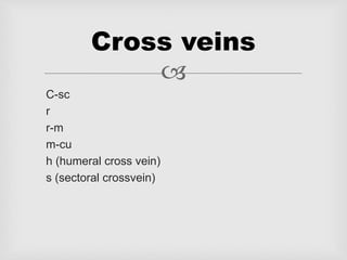 Entomology- insect wing | PPTX
