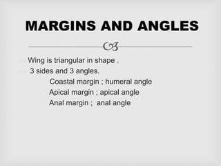 Entomology- insect wing | PPTX