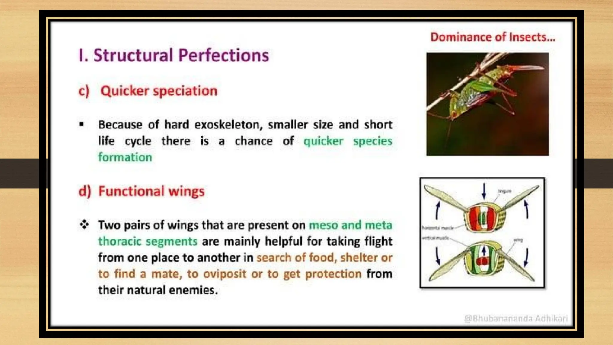 entomology notes ppt 2 insect-dominance.pptx