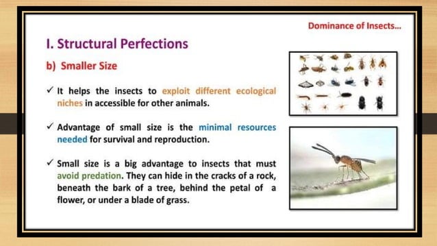 entomology notes ppt 2 insect-dominance.pptx