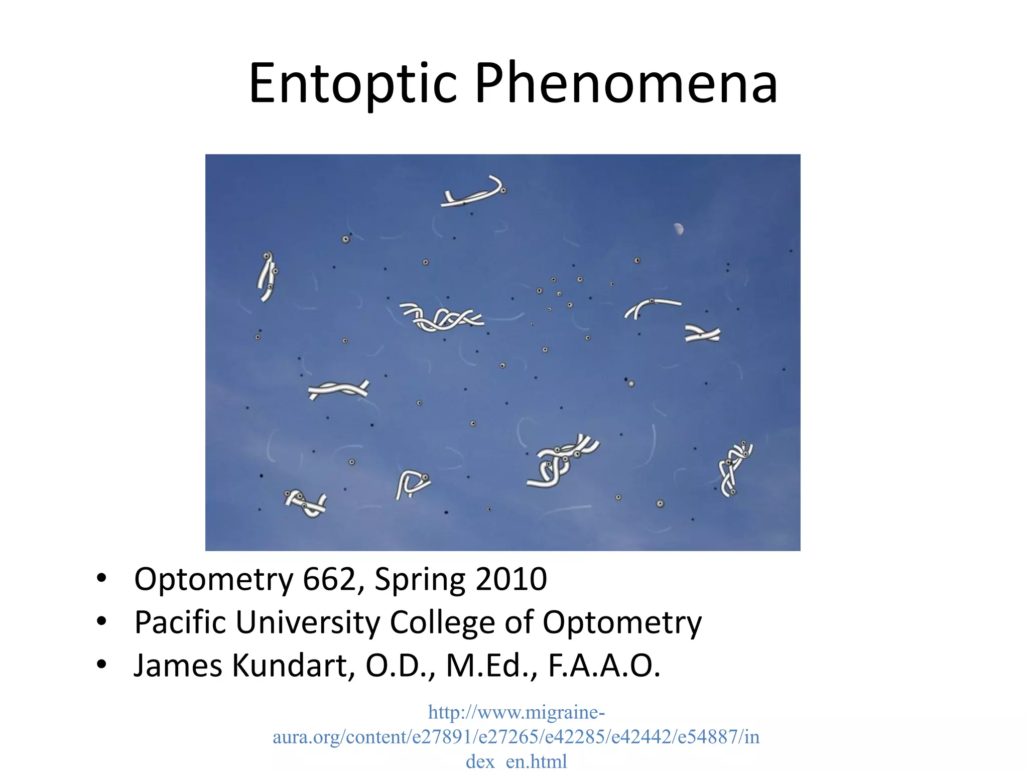 Entoptic phenomena | PDF