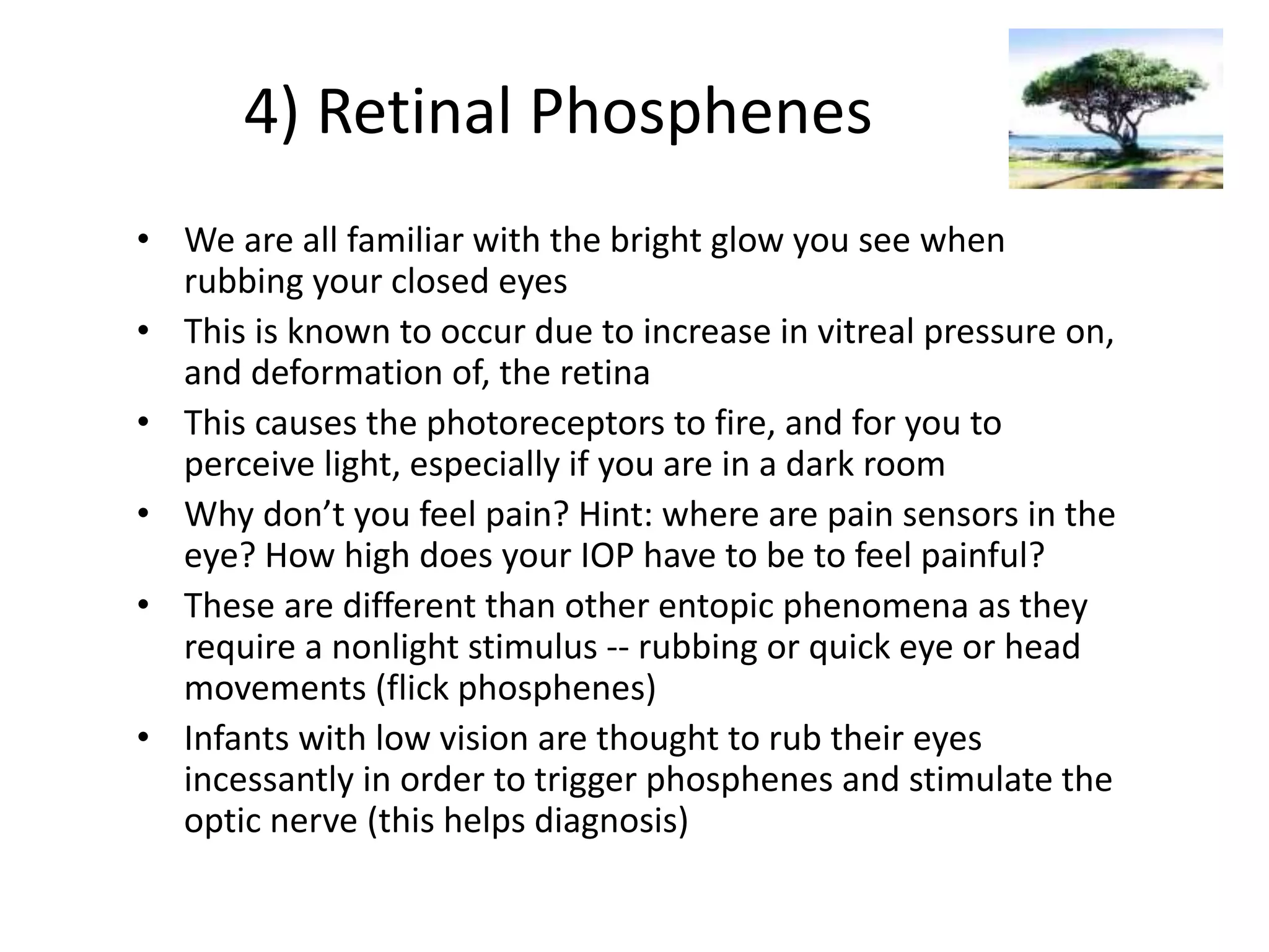 Entoptic phenomena | PDF