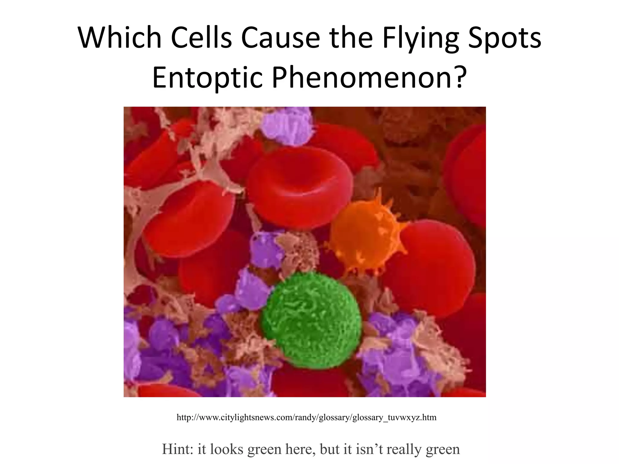 Entoptic phenomena | PDF