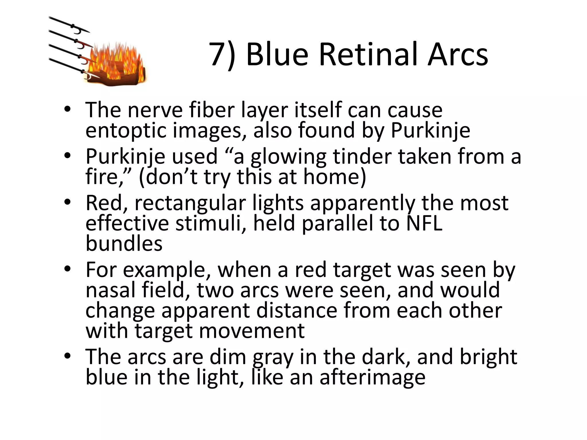 Entoptic phenomena | PDF