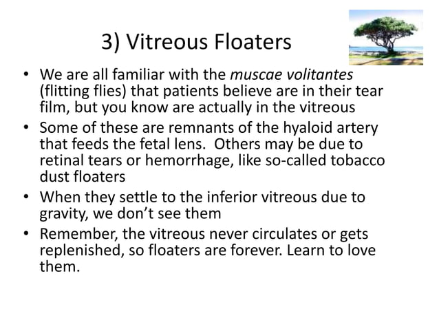 Entoptic phenomena | PDF | Eye and Vision Conditions | Diseases and ...