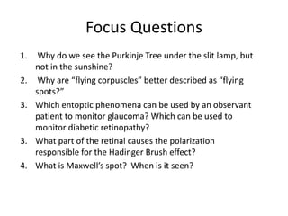 Entoptic phenomena | PDF