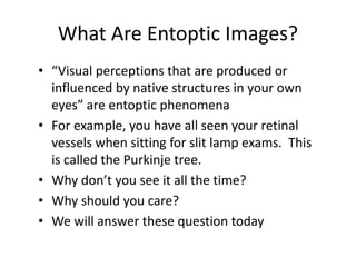 Entoptic phenomena | PDF