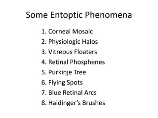 Entoptic phenomena | PDF