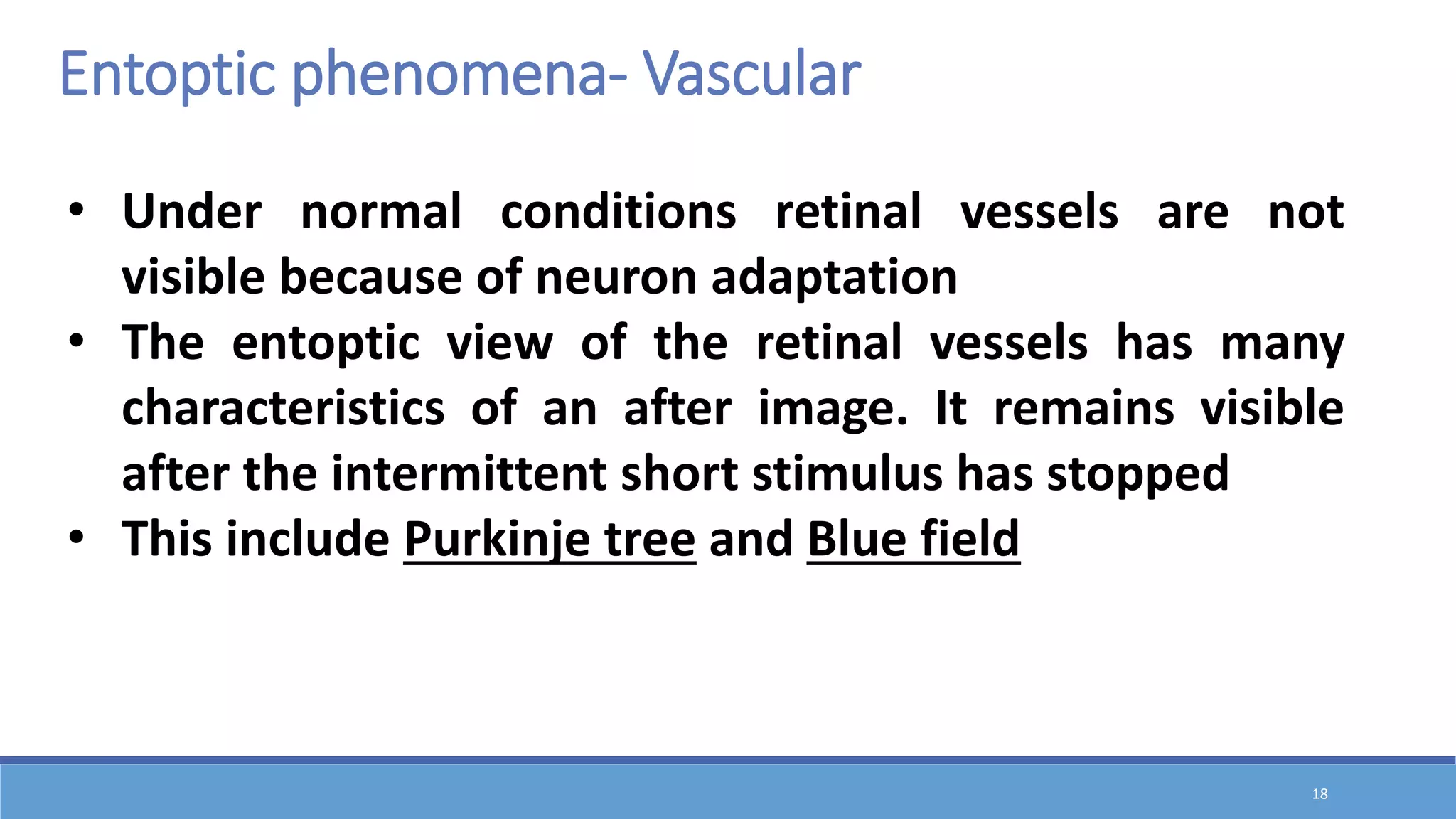 Entoptic phenomena | PDF