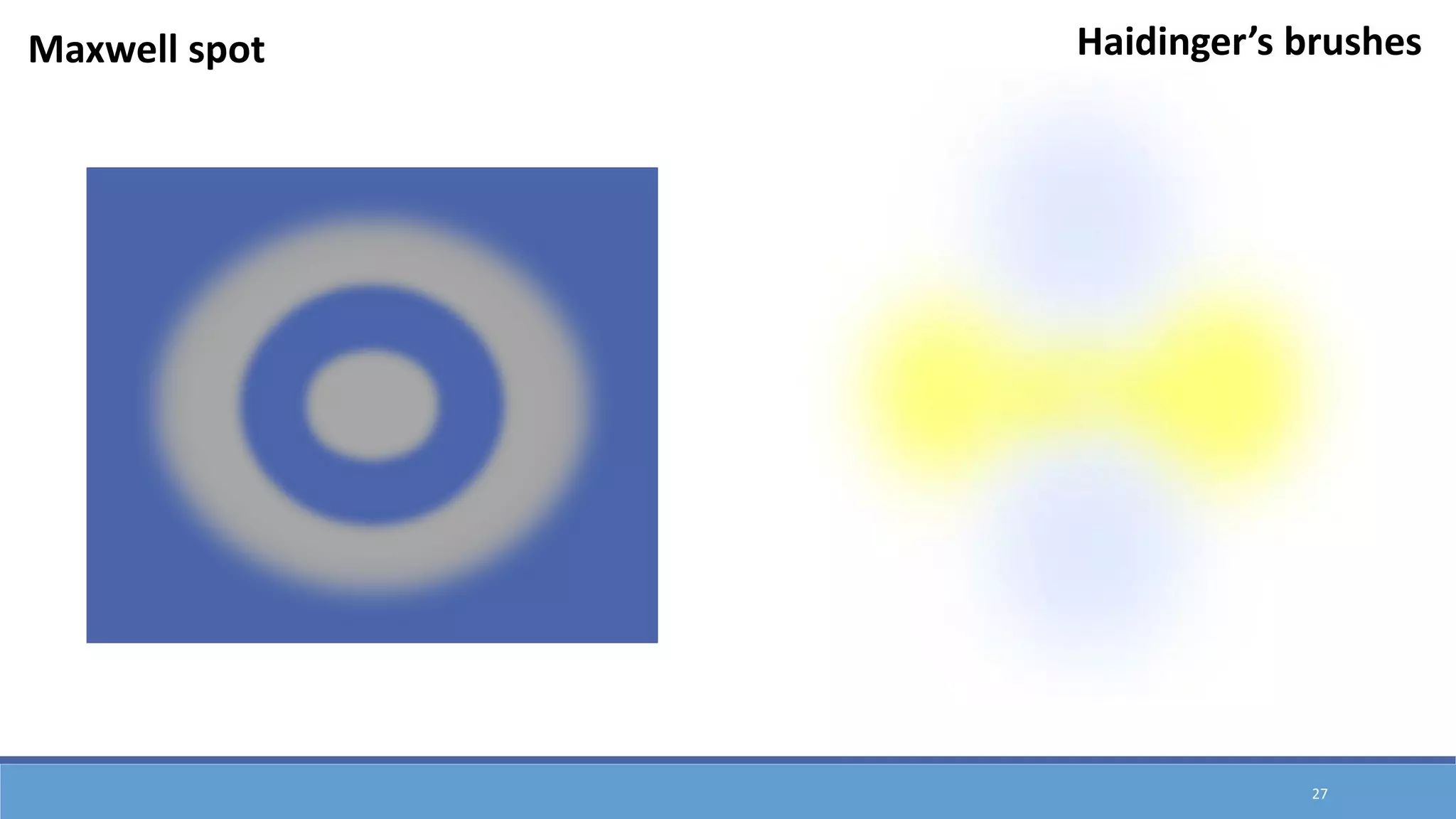 Entoptic phenomena | PPT