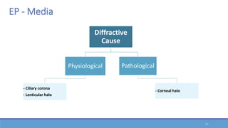 Entoptic phenomena | PDF