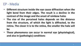 Entoptic phenomena | PDF