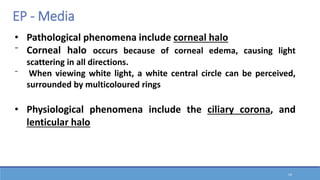 Entoptic phenomena | PDF