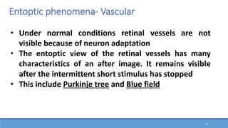 Entoptic phenomena | PDF
