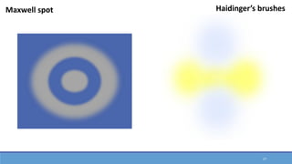 Entoptic phenomena | PDF