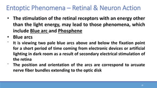 Entoptic phenomena | PDF