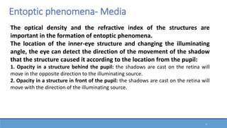Entoptic phenomena | PDF