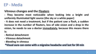 Entoptic phenomena | PDF