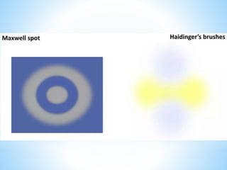 Entoptic Phenomena.pptx