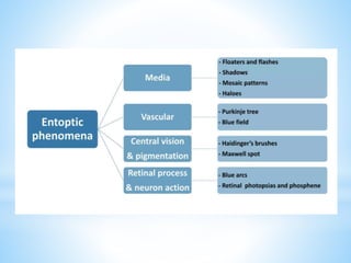 Entoptic Phenomena.pptx