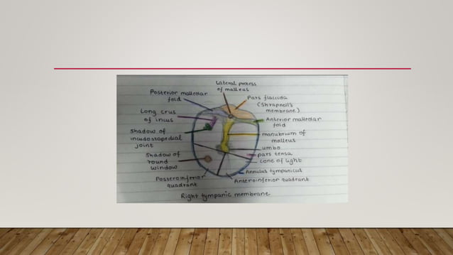 Ent osce examination and instruments | PPTX