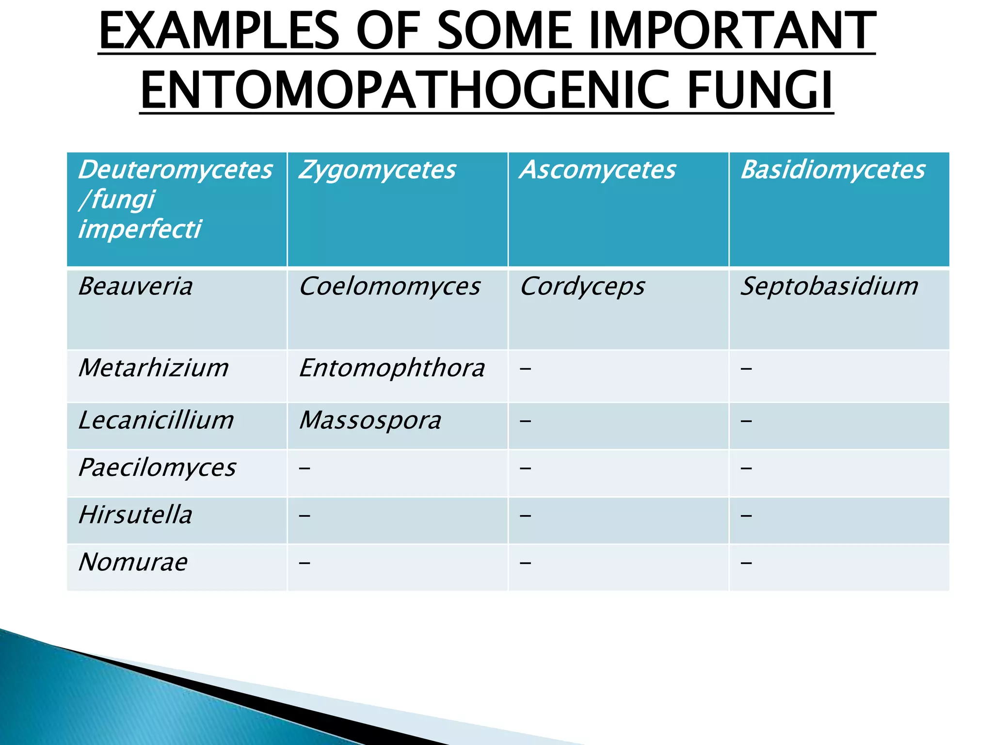 Seminar on entomopathogenic fungi | PPTX