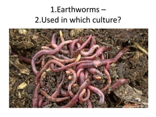 Ento spotting insect ecology and IPM | PPT