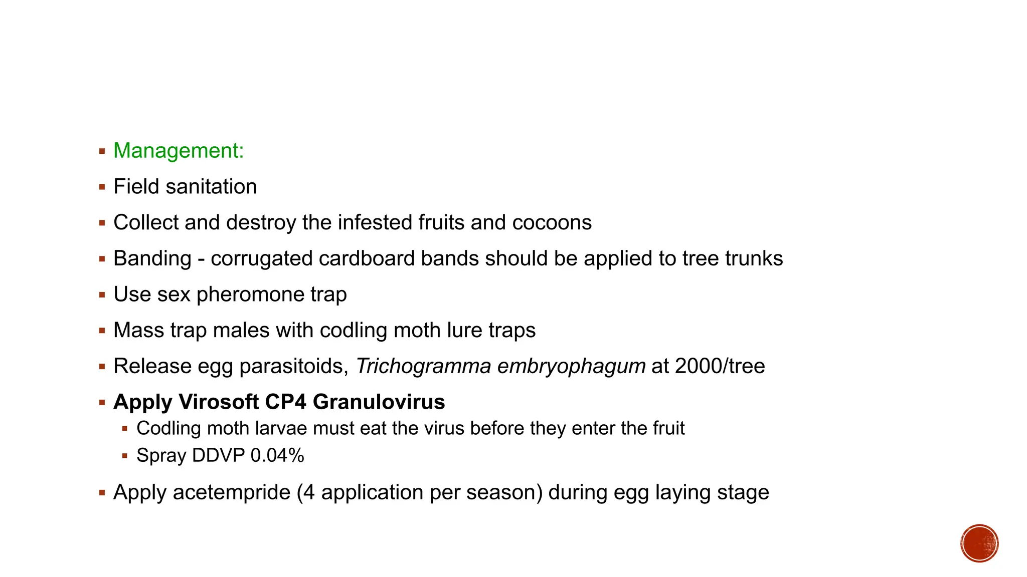 storage insects.pptx