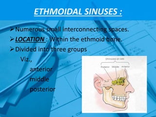 anatomy and physiology paranasal sinuses | PPTX