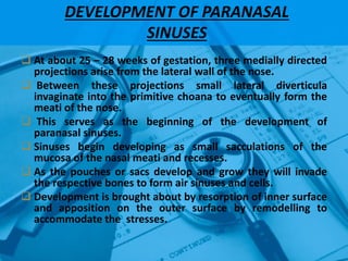 anatomy and physiology paranasal sinuses | PPTX