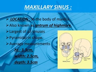 anatomy and physiology paranasal sinuses | PPTX