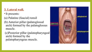 anatomy and physiology of pharynx ( oro and naso and pharyngeal) | PPTX
