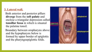 anatomy and physiology of pharynx ( oro and naso and pharyngeal) | PPTX