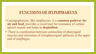 anatomy and physiology of pharynx ( oro and naso and pharyngeal) | PPTX