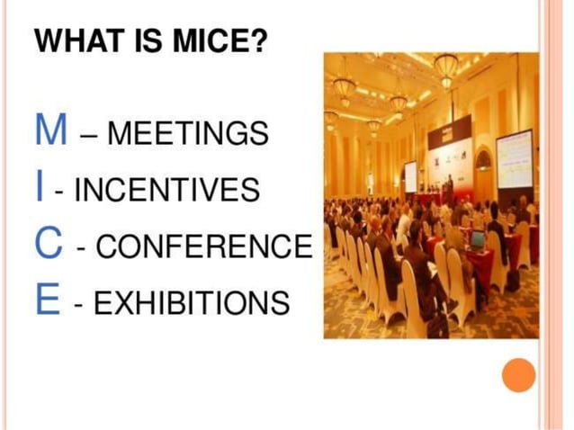 MICE TOURISM | PPT