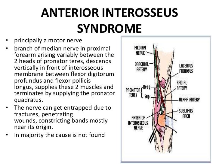 Entrapment neuropathies 28.2.12