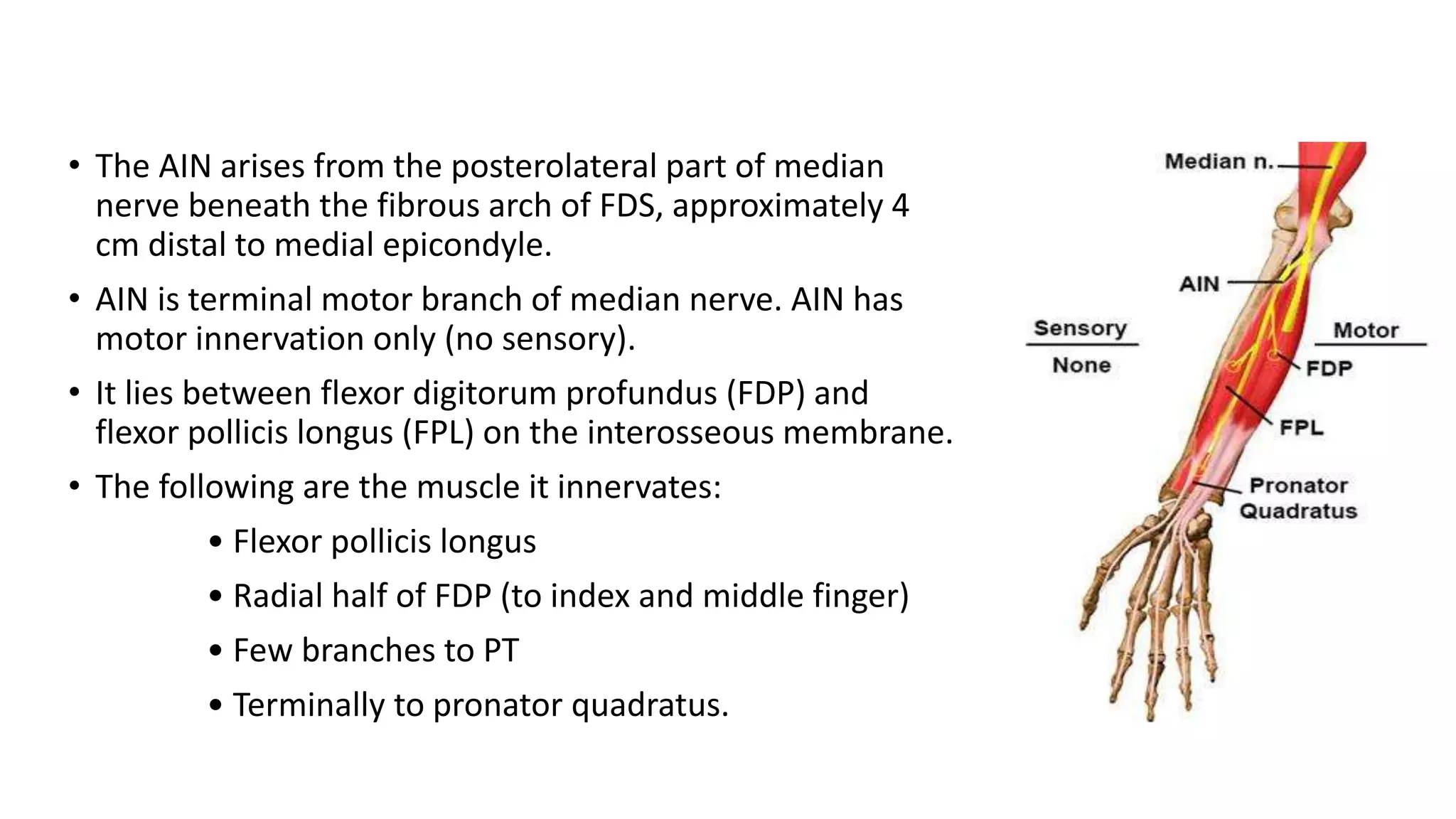 Entrapment neuropathy | PPTX