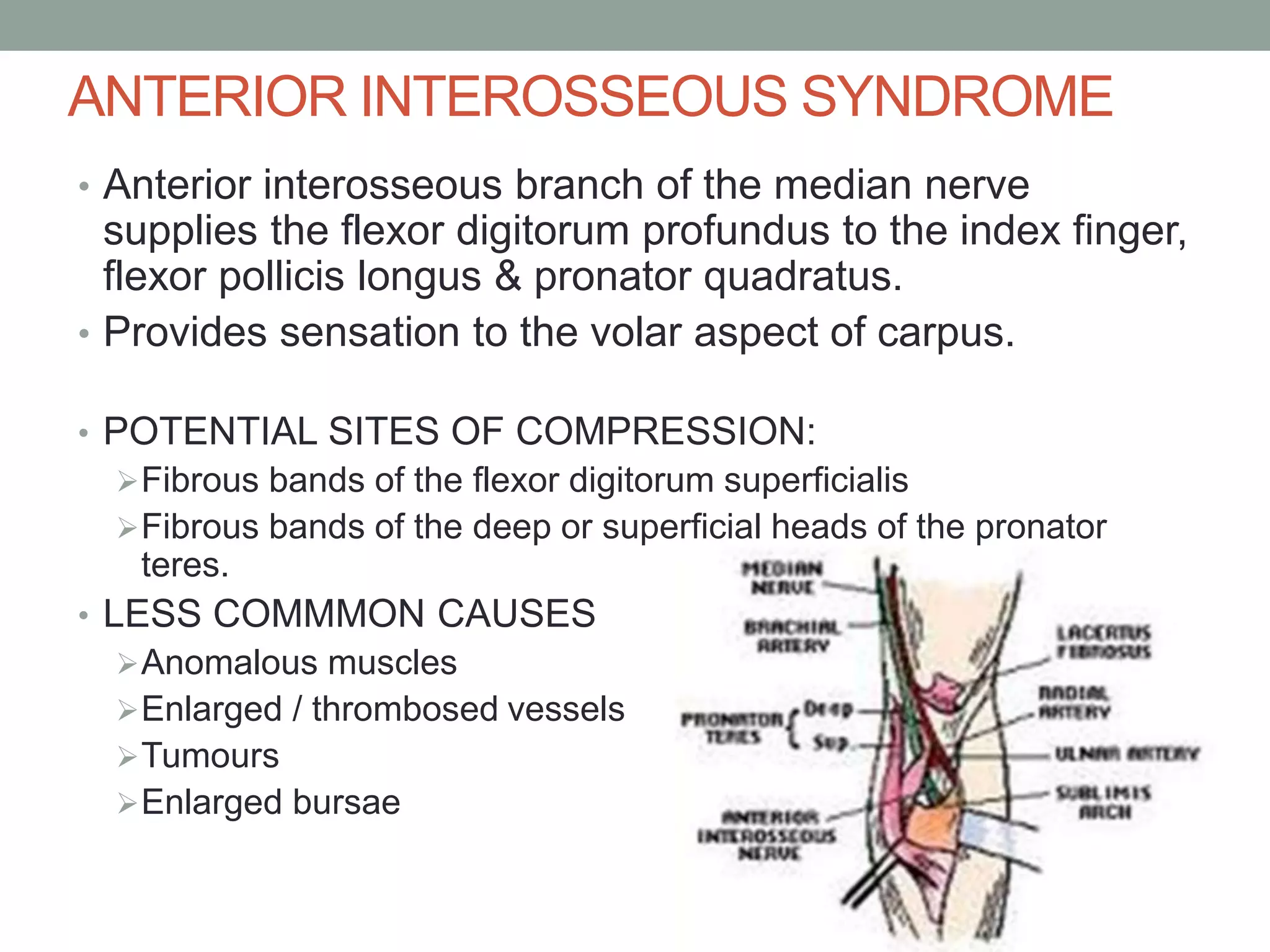 Entrapment neuropathy of the upper limb | PPTX