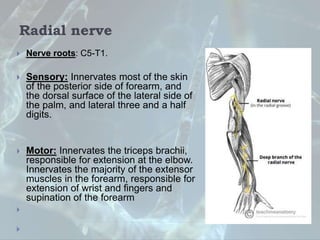 Entrapment syndrome | PPTX