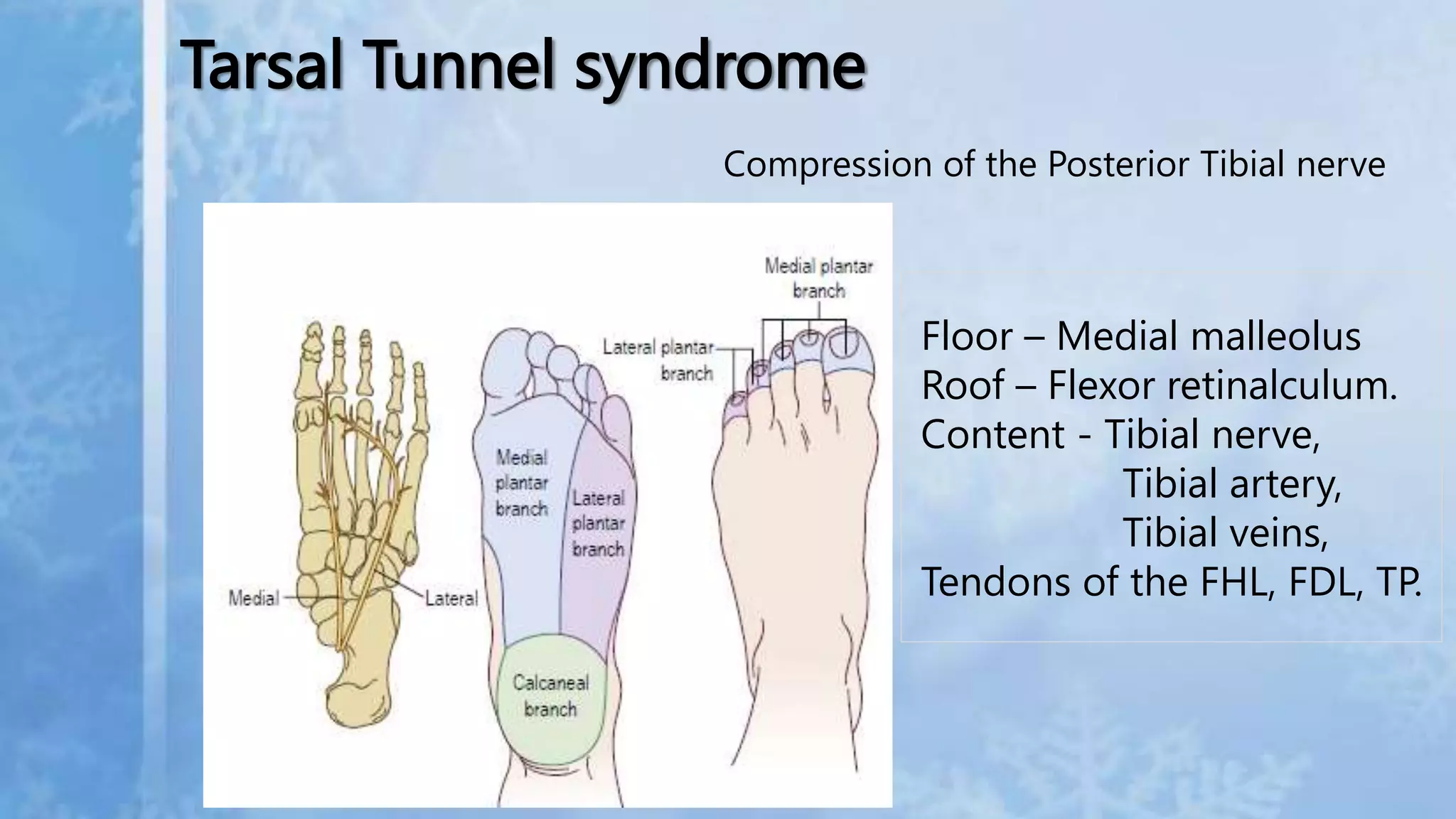 Entrapment Syndromes of Lower Limb.pptx