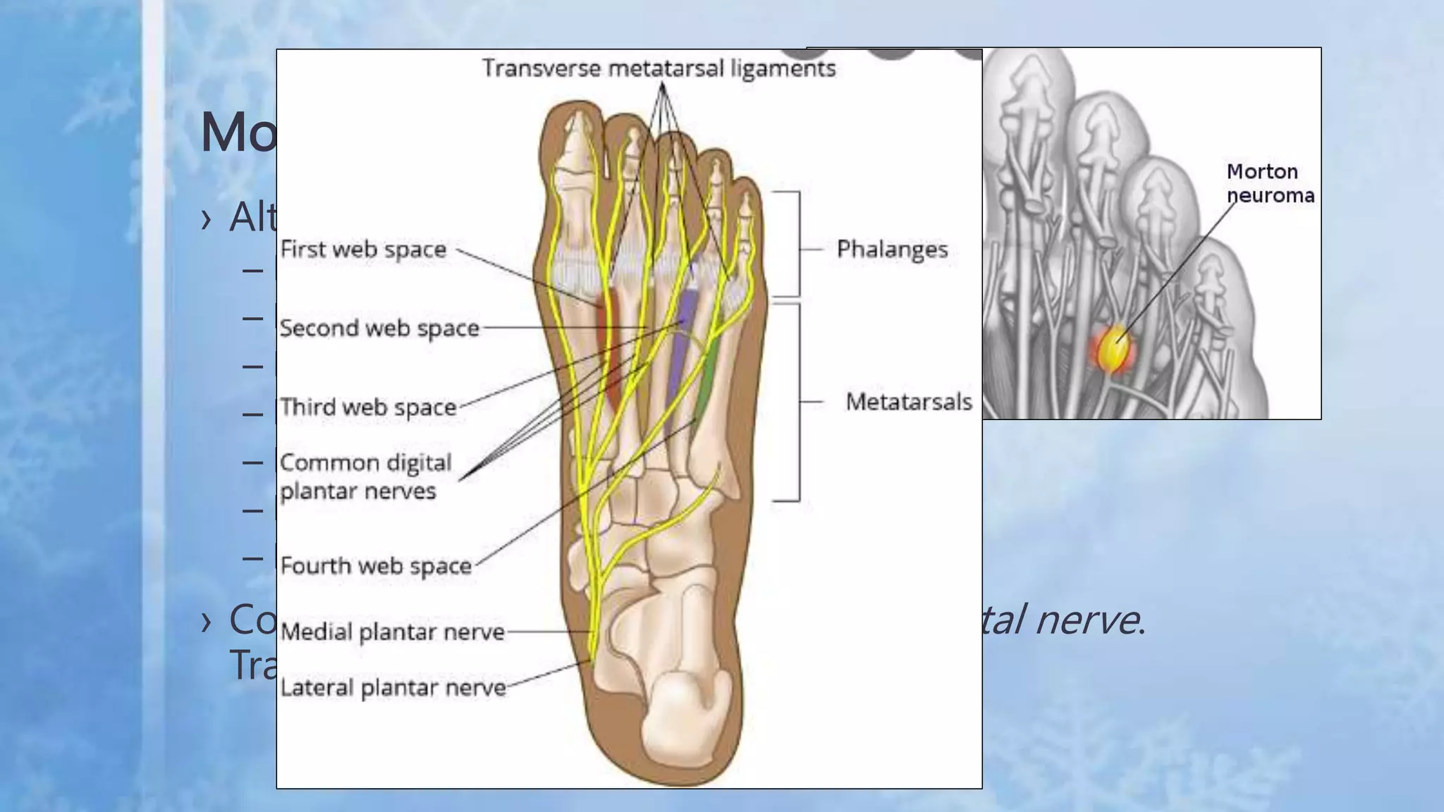 Entrapment Syndromes of Lower Limb.pptx