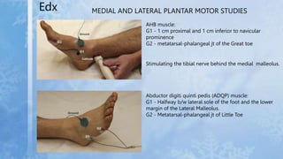 Entrapment Syndromes of Lower Limb.pptx