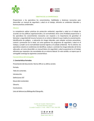 Entregable TEFE - Practicas ambientales y SST.docx