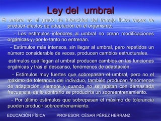 Entrenamiento | PPT