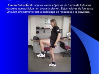 Entrenamiento de la Fuerza Estructural.ppt
