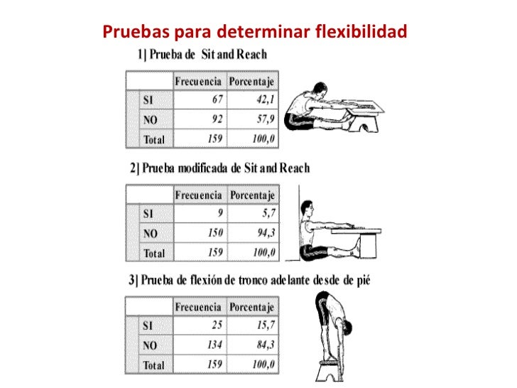Entrenamiento De La Flexibilidad