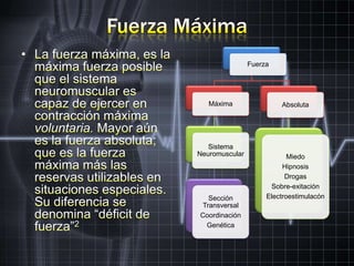 Entrenamiento de la fuerza final | PPTX